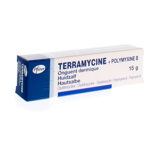 Terramycine Ung Derm 15 G - Apotheek Humblet